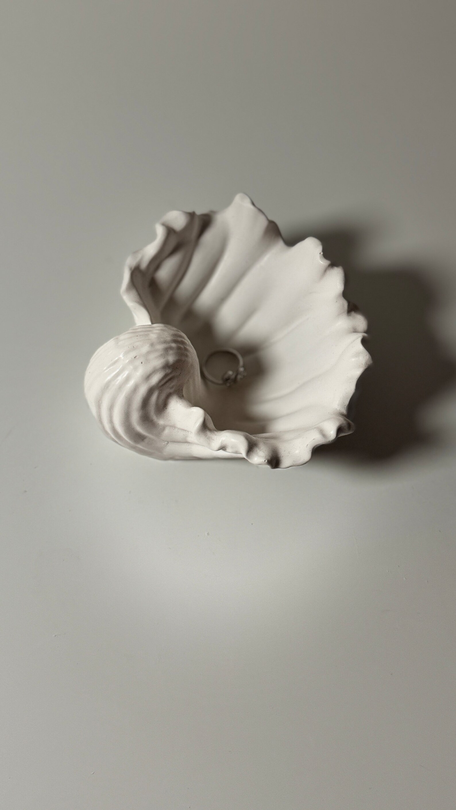 Seashell Tray| Open Shell Tray Trinket| Vanity Jewelry Dish| Holder ...
