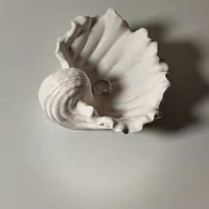 Seashell Tray| Open Shell Tray Trinket| Vanity Jewelry Dish| Holder ...