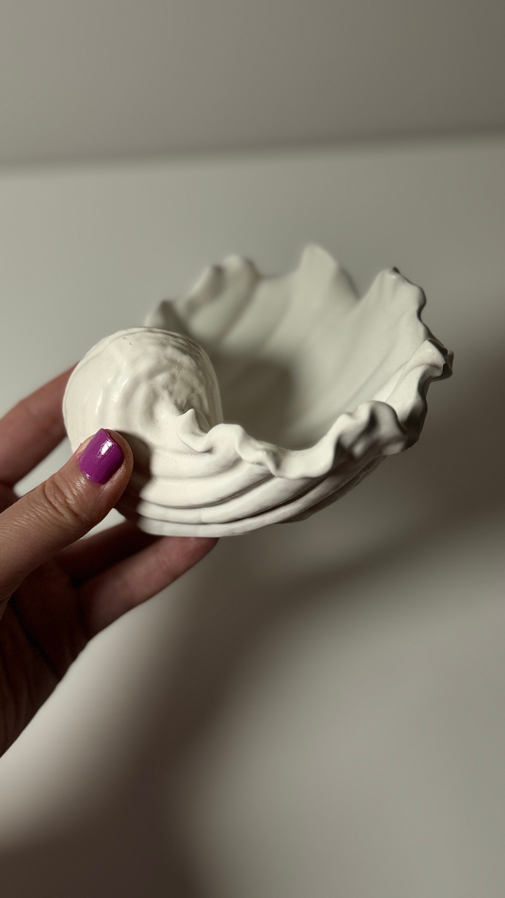 Seashell Tray| Open Shell Tray Trinket| Vanity Jewelry Dish| Holder ...