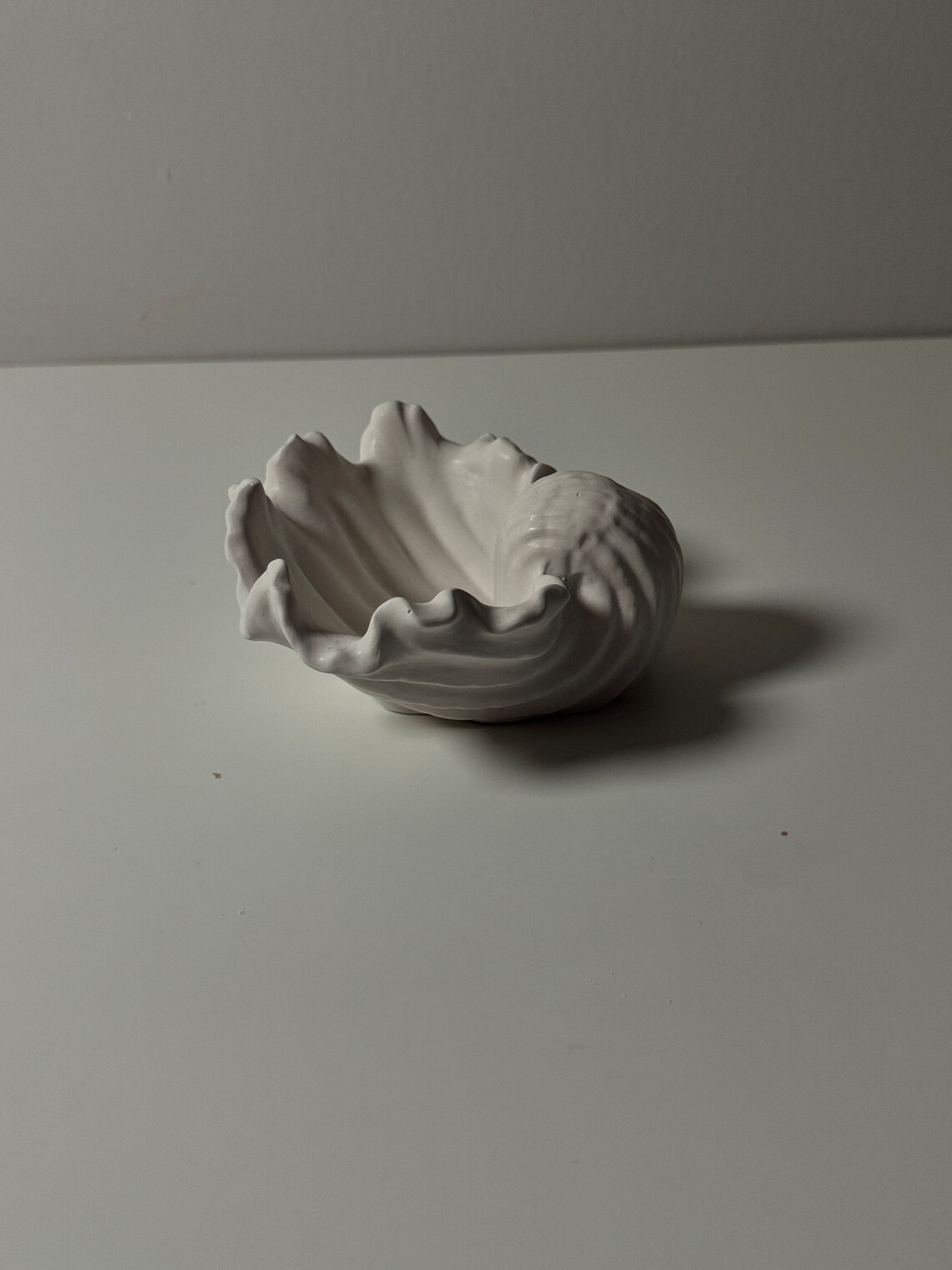 Seashell Tray| Open Shell Tray Trinket| Vanity Jewelry Dish| Holder ...