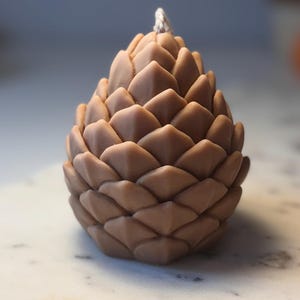 Pine Cone Candle| Custom Color & Scent| Shaped Candle| Fall Candle ...