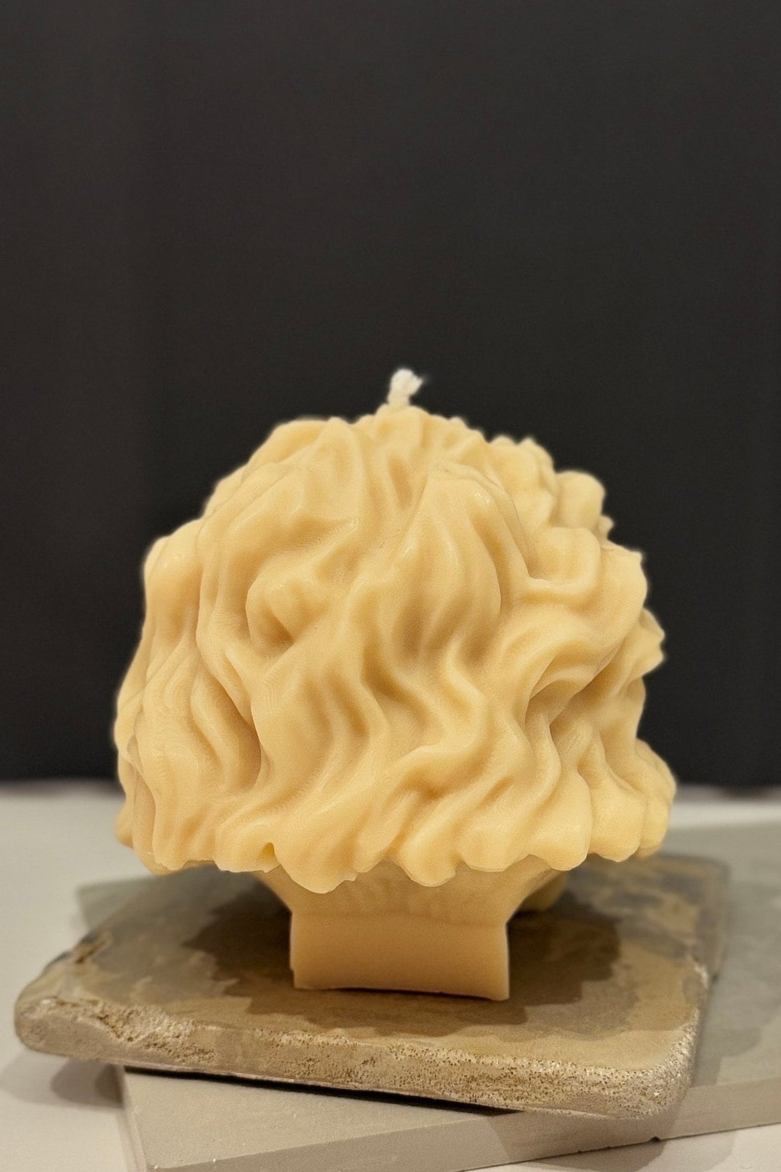Lion Candle | Custom Color & Scent | Sculpture Candle | Natural Soy Wax ...
