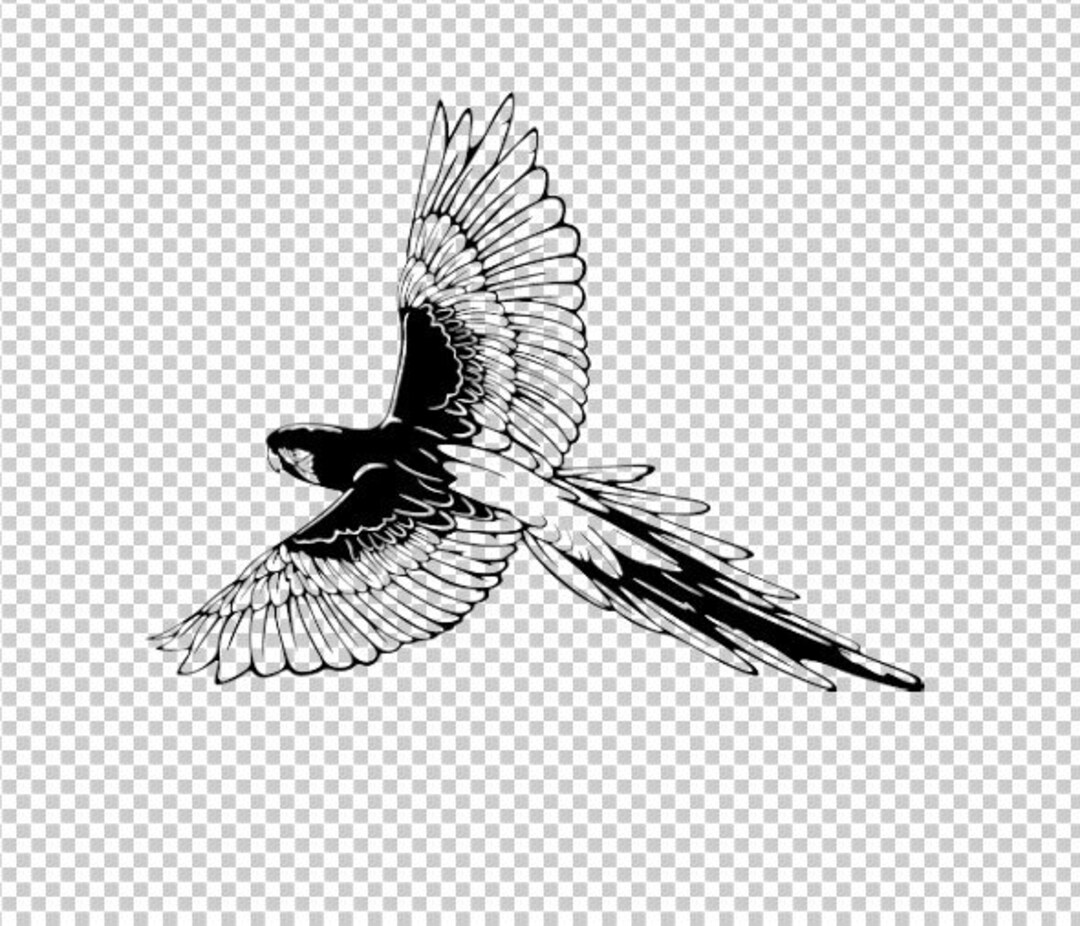 Birds Parrot Macaw Laser Cut File Dog .dxf .ai .eps .pdf .png - Etsy