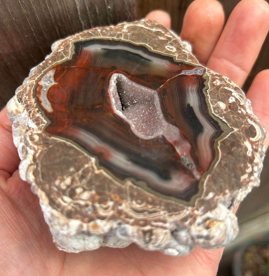 375g Thunderegg Polished Banded Baker Ranch Agate Crystal Geode - Etsy