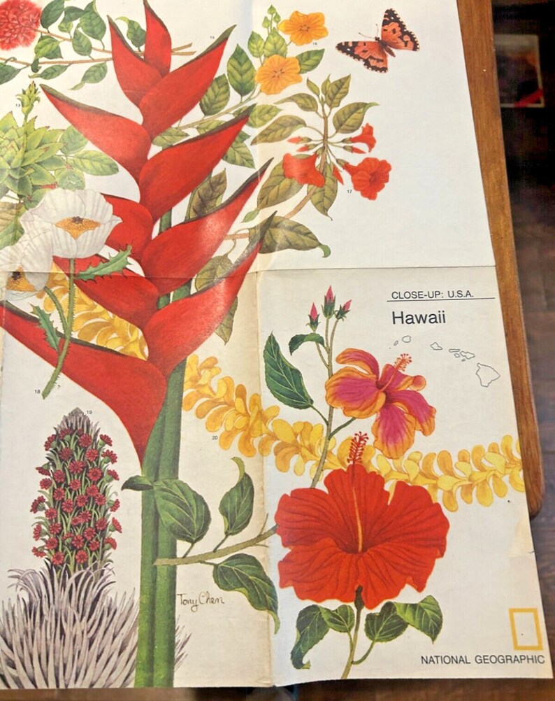 HAWAII Double Sided , DIY Map by National Geographic April 1976, DIY ...