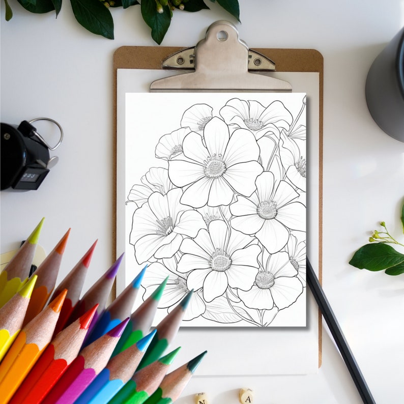 Flower Coloring Pages/ Floral Coloring Pages/ Botanical - Etsy