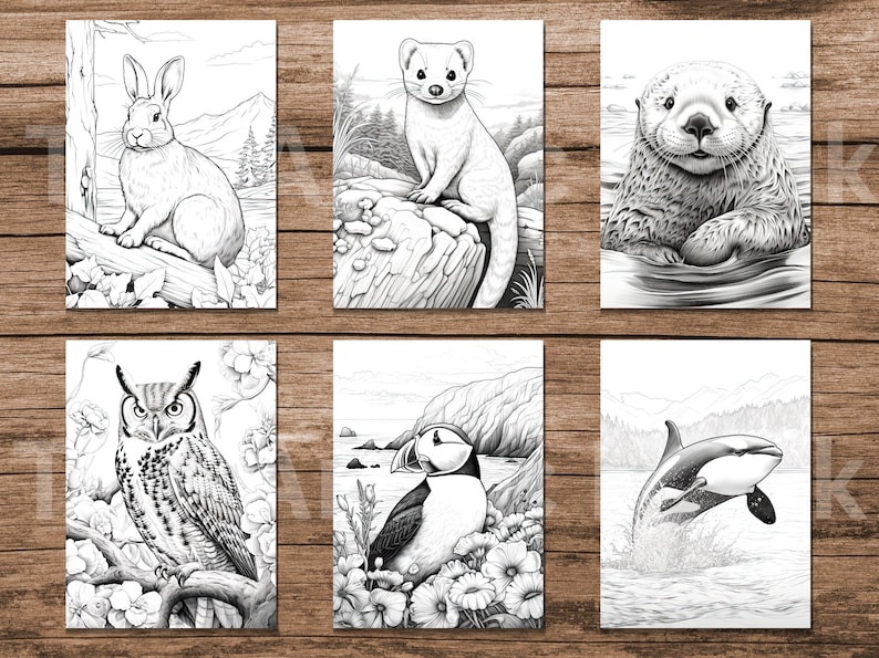 Animals of Alaska Coloring Book, Printable Beautiful Alaskan Wildlife ...