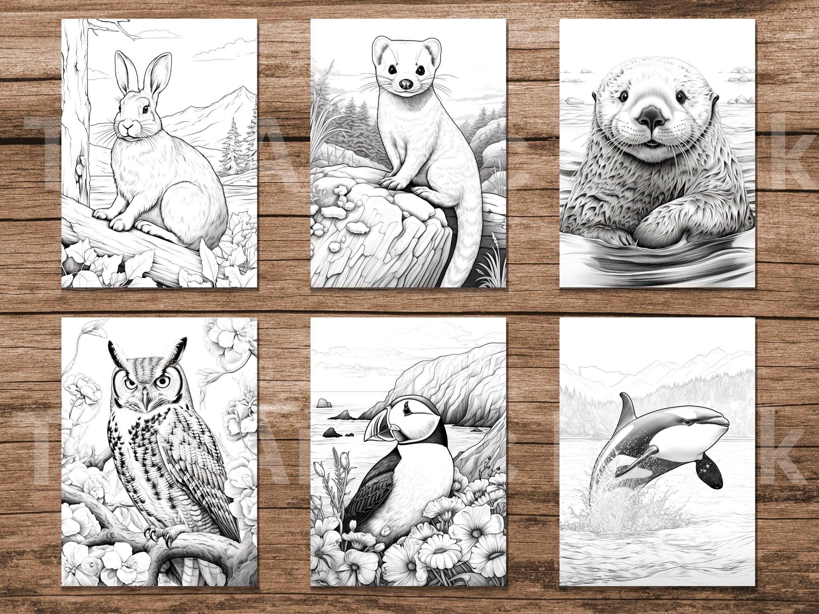 Animals of Alaska Coloring Book, Printable Beautiful Alaskan Wildlife ...