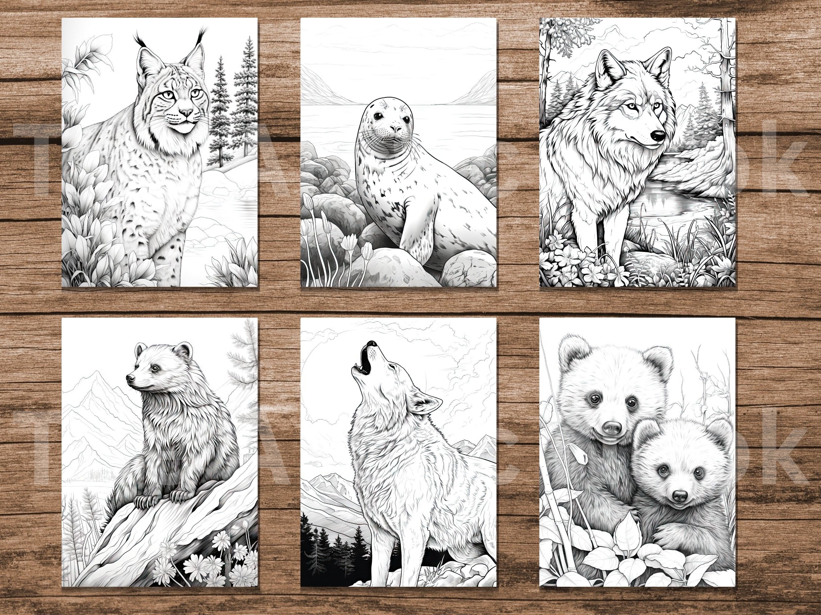 Animals of Alaska Coloring Book, Printable Beautiful Alaskan Wildlife ...