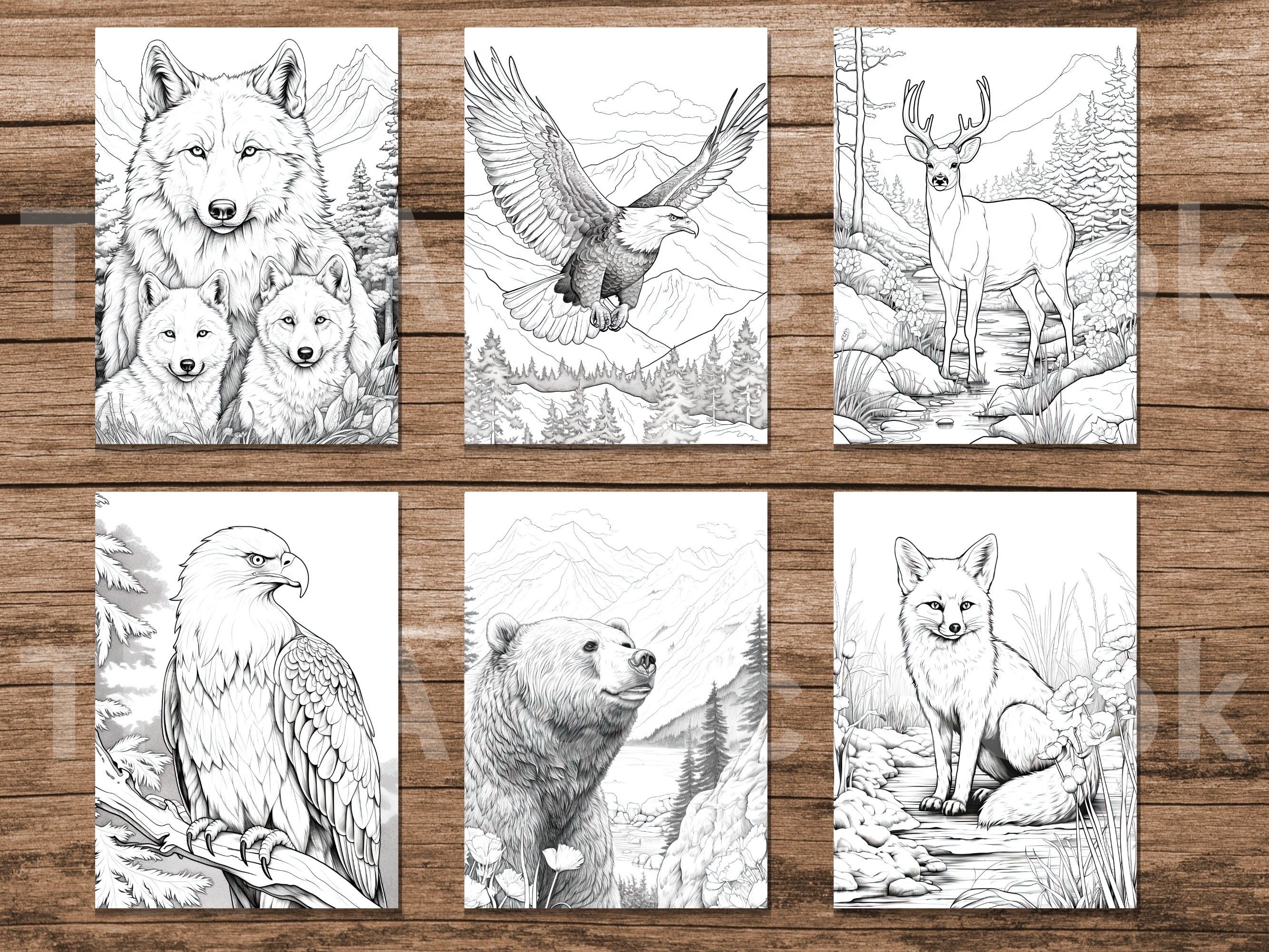 Animals of Alaska Coloring Book, Printable Beautiful Alaskan Wildlife ...