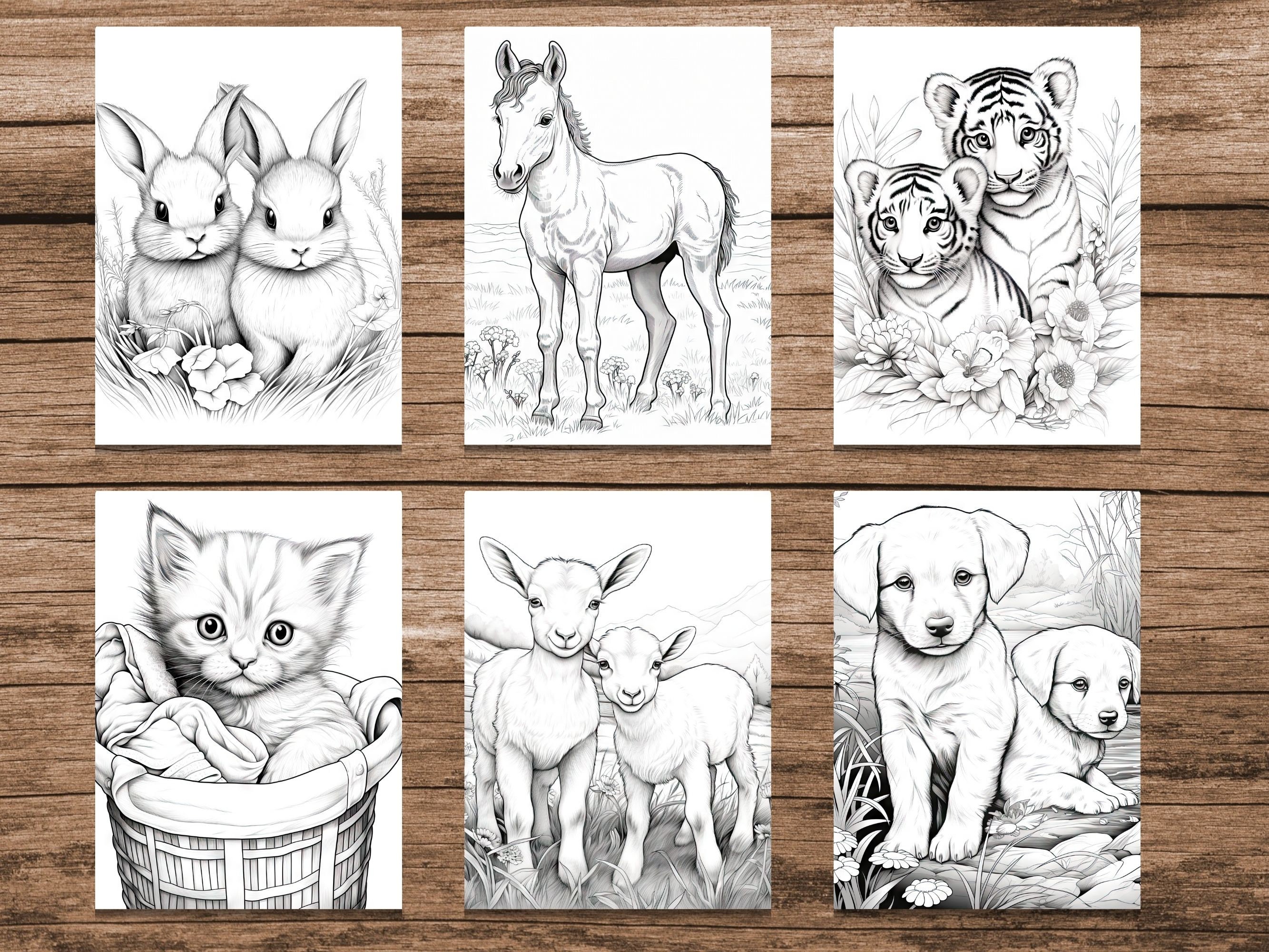 Baby Animals Coloring Book Printable Cute Adorable Baby - Etsy