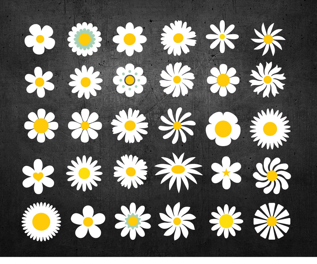 Daisy SVG Bundle Daisy Flower Svg Files for Cricut Clipart - Etsy Australia