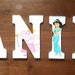 Princess Character Theme Wooden Letters - Etsy