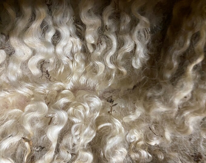 Amye's First Fleece a Rare Leicester Longwool 4 Oz. Raw Unwashed Long ...