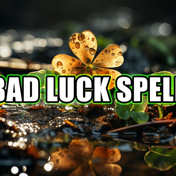 August Moon's favorite items - Etsy