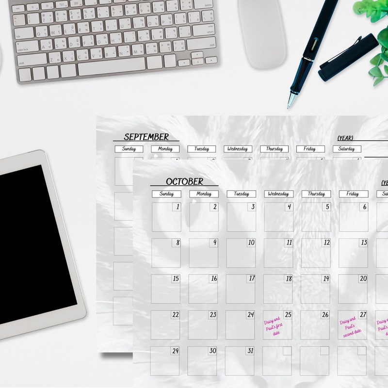 Saturday Gift Calendar - 60+ Gift Ideas for 2025