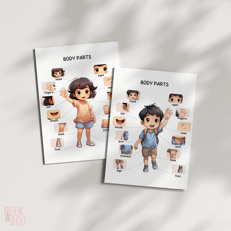 Body Parts Educational Poster: Inclusive Anatomy Print (digital ...