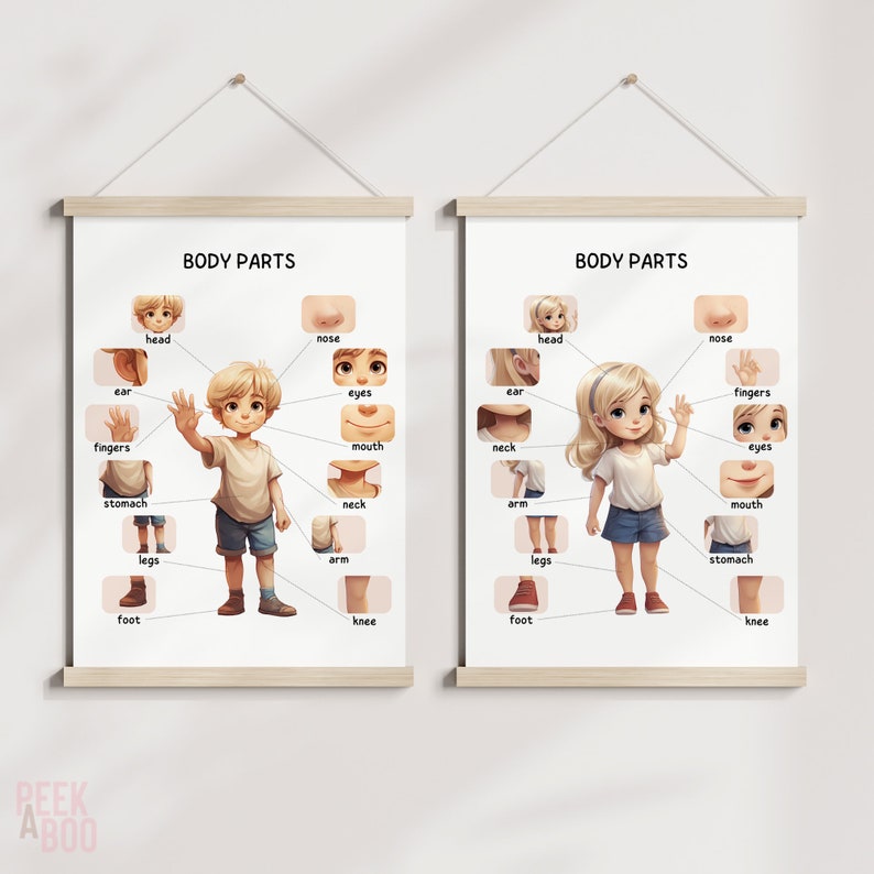Body Parts Educational Poster: Inclusive Anatomy Print (digital ...
