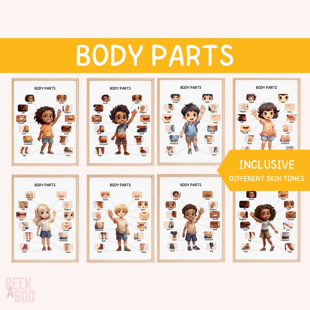 Body Parts Educational Poster: Inclusive Anatomy Print (digital ...