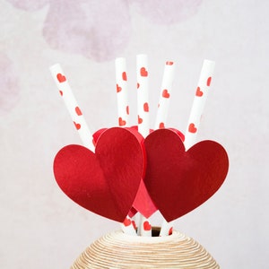 Valentine's Day Party Decoration Straws, Valentine's Day Eco Straws ...