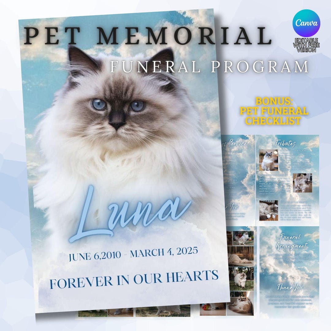 Sky Pet Memorial Funeral Program Editable Canva Template Obituary ...