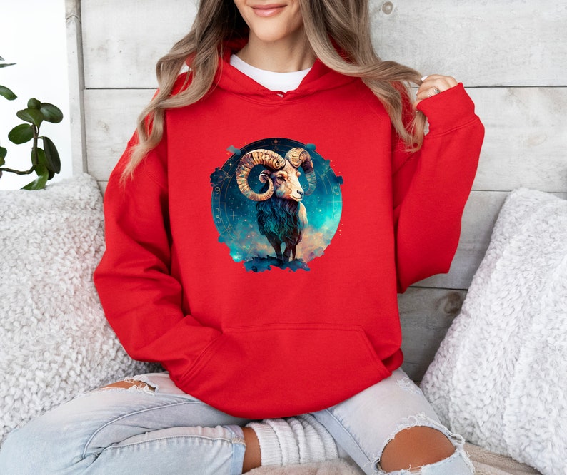 Aries Hoodie, Horoscope Sweatshirt, Zodiac Sweater, Birthday Shirt for ...