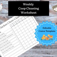 Farm Craft Baby Chick Life Cycle of a Chicken Spring Easter Bulletin ...