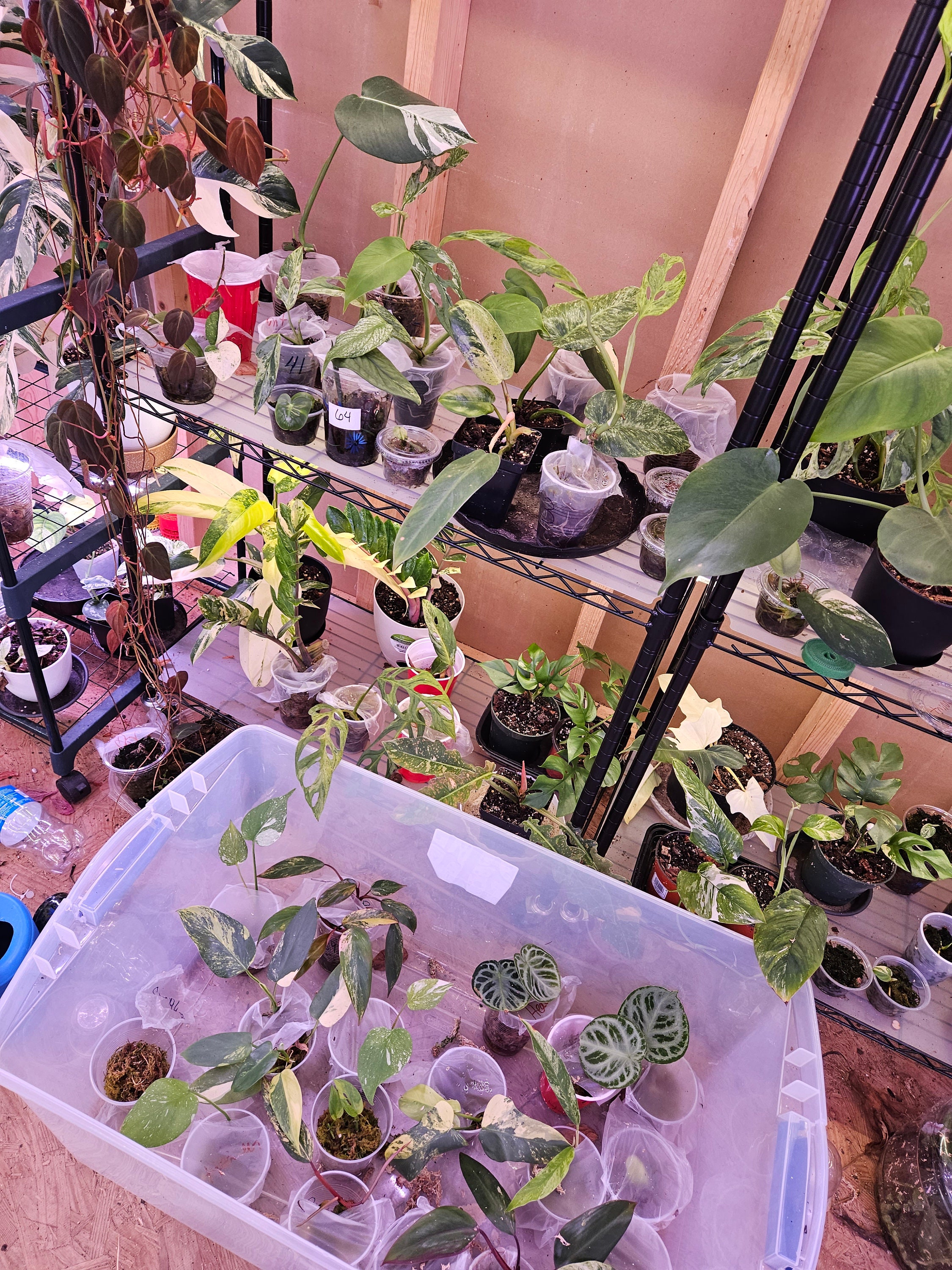 Winter Prop Boxes - Etsy