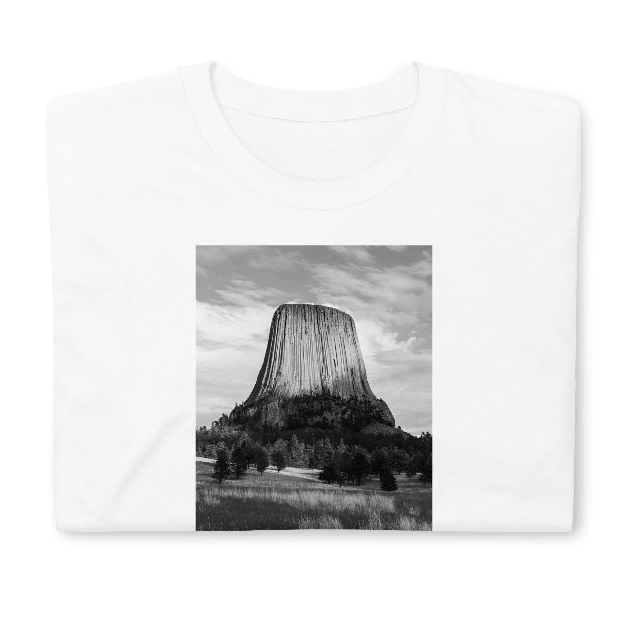 Tree Stumps Matter Devil's Tower Wyoming T-shirt - Etsy