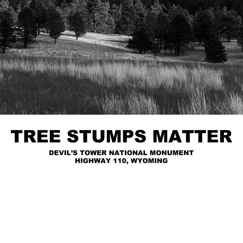 Tree Stumps Matter Devil's Tower Wyoming T-shirt - Etsy