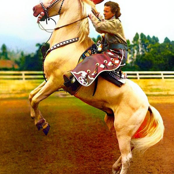 Salinas Rodeo Poster - Etsy