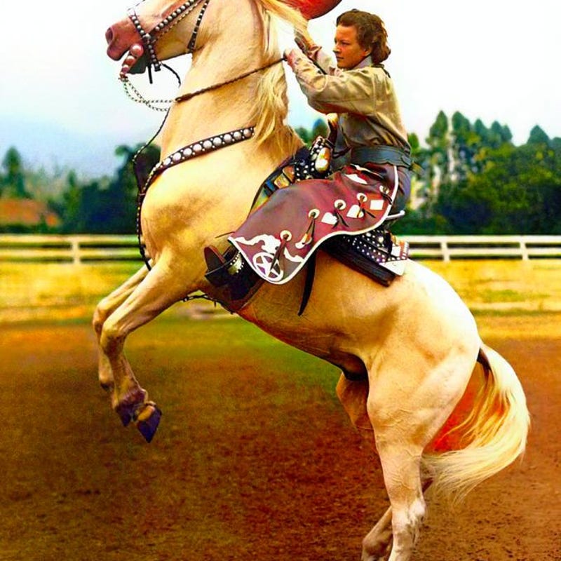 Salinas Rodeo Poster - Etsy