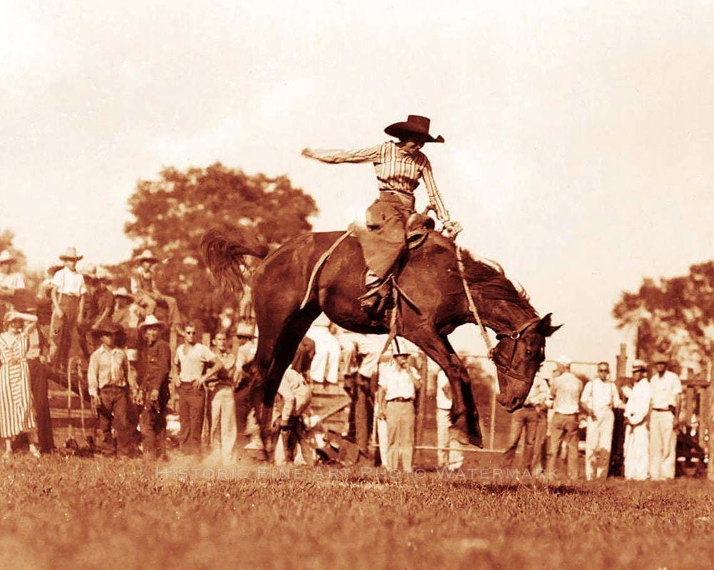 A Bronc Rodeo Cowgirl 8 X 10 Photo ON Horses Old West Style Rodeo 1930s ...