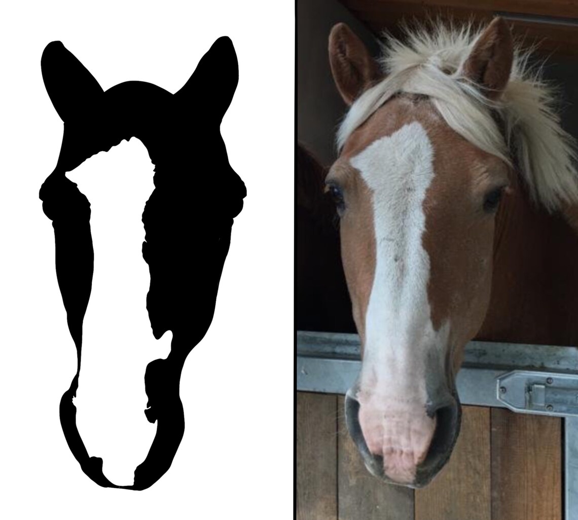 Personalized Digital Outline Drawing Horse - Etsy
