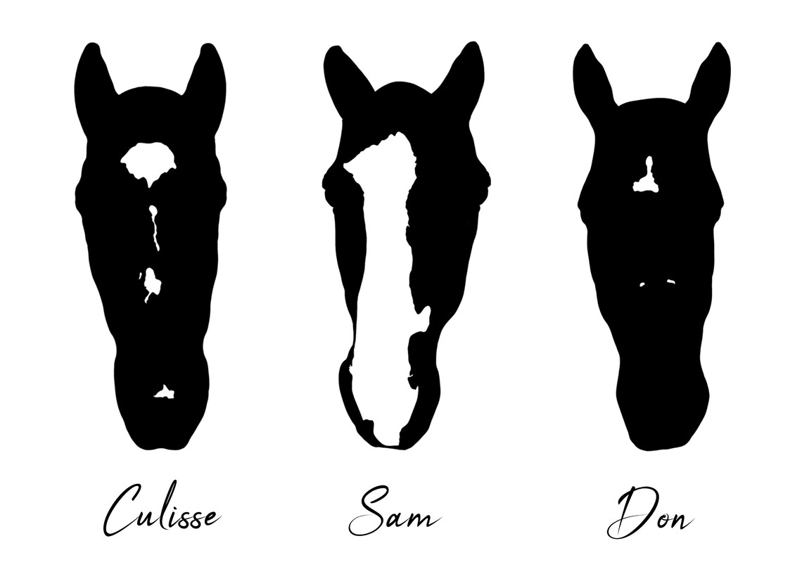 Personalized Digital Outline Drawing Horse - Etsy