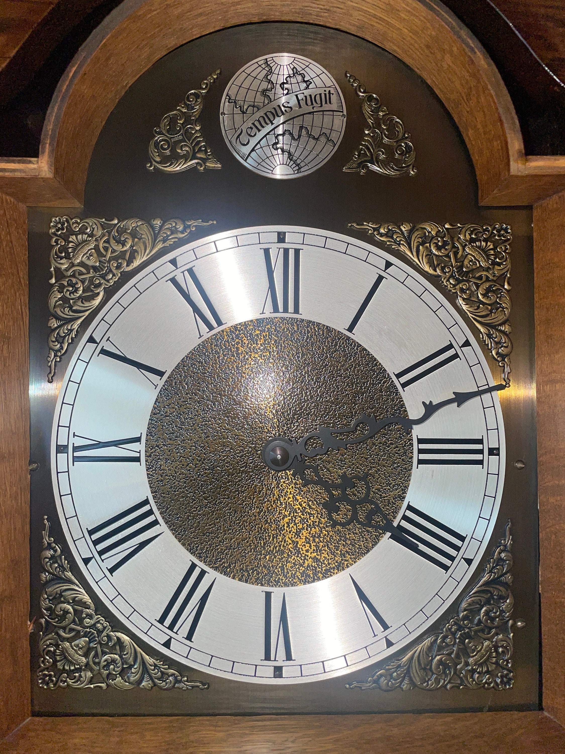 Tempus Fugit Clock - Etsy UK