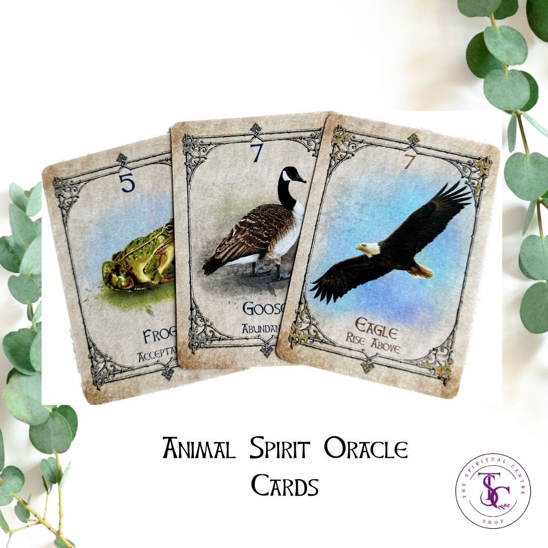 Animal Spirit Oracle Deck - Etsy