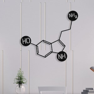 Serotonin Decor Wall Art Metal Wall Art Chemistry Gift Room Decor for ...