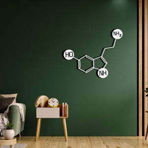 Serotonin Decor Wall Art Metal Wall Art Chemistry Gift Room Decor for ...