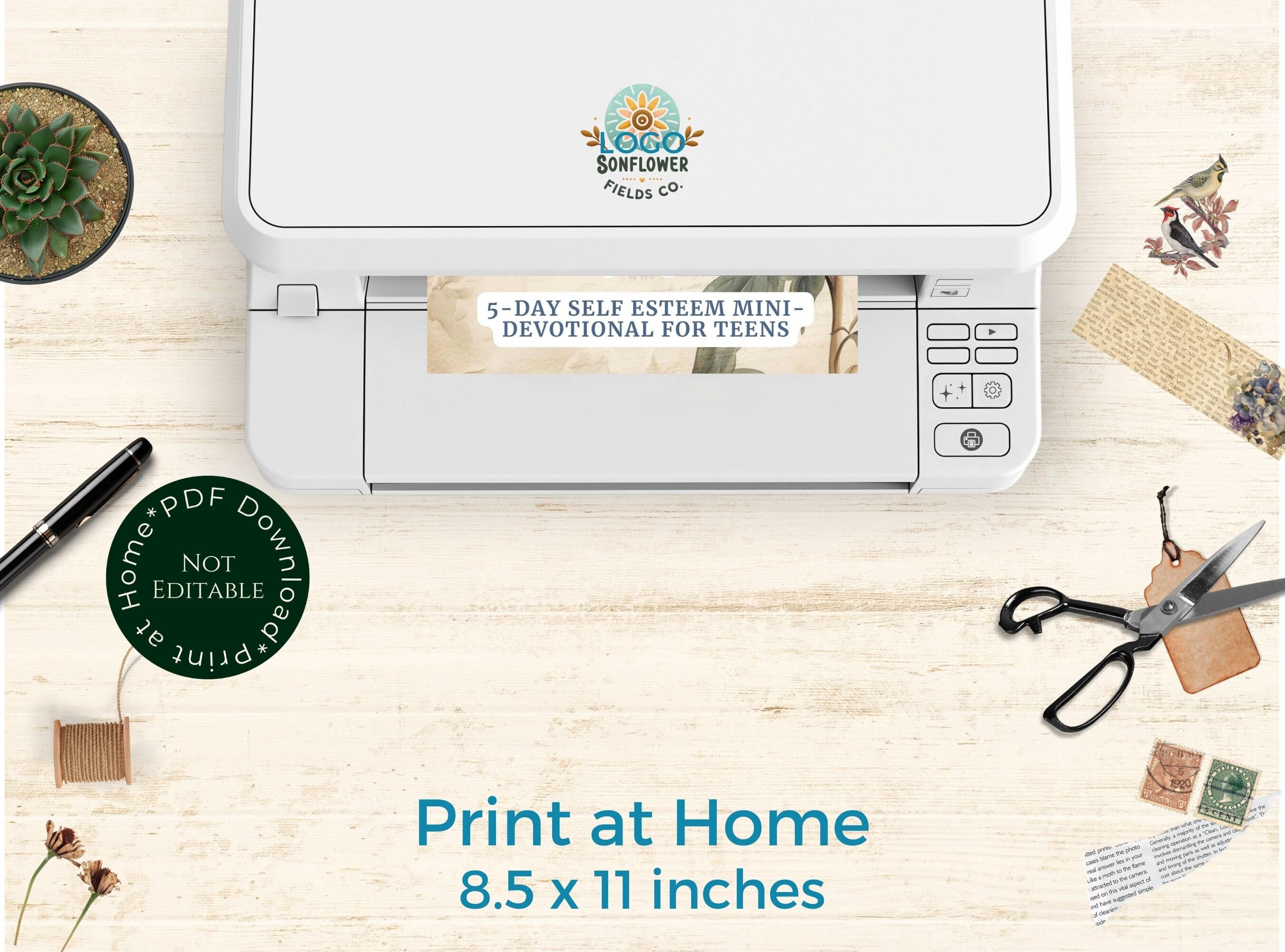 Teen Self-esteem Printable and Fillable PDF 5 Day Mini-devotional ...