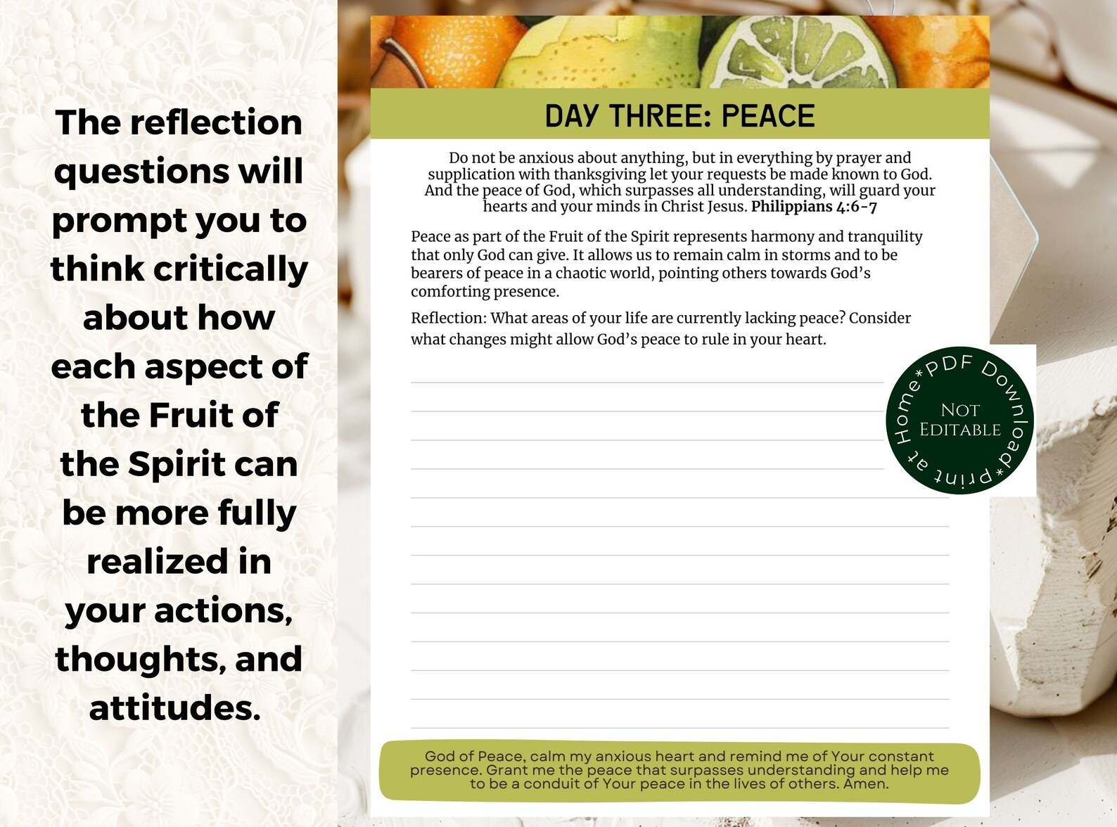 Fruit of the Spirit Printable and Fillable PDF Devotional Journal for ...