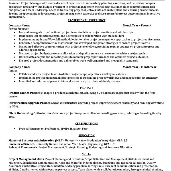 Resume Template Project Manager - Etsy