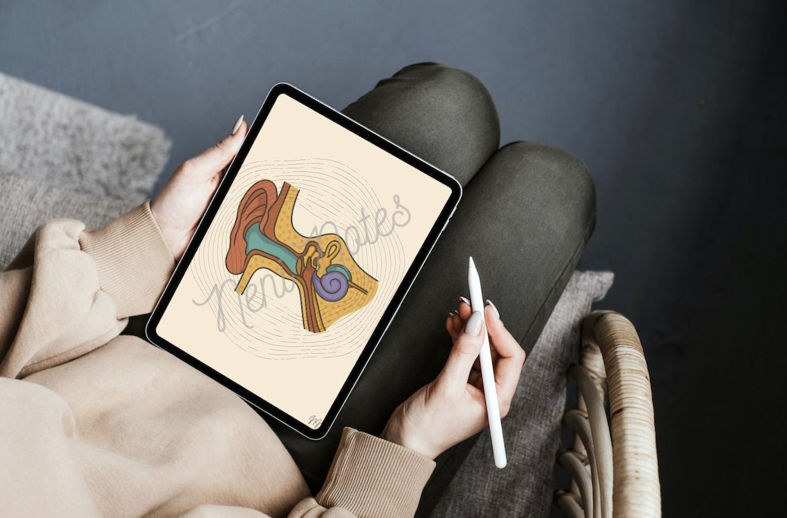 Ear Anatomy, Ear Anatomy Poster, Ear Diagram Labeled/unlabeled Digital ...