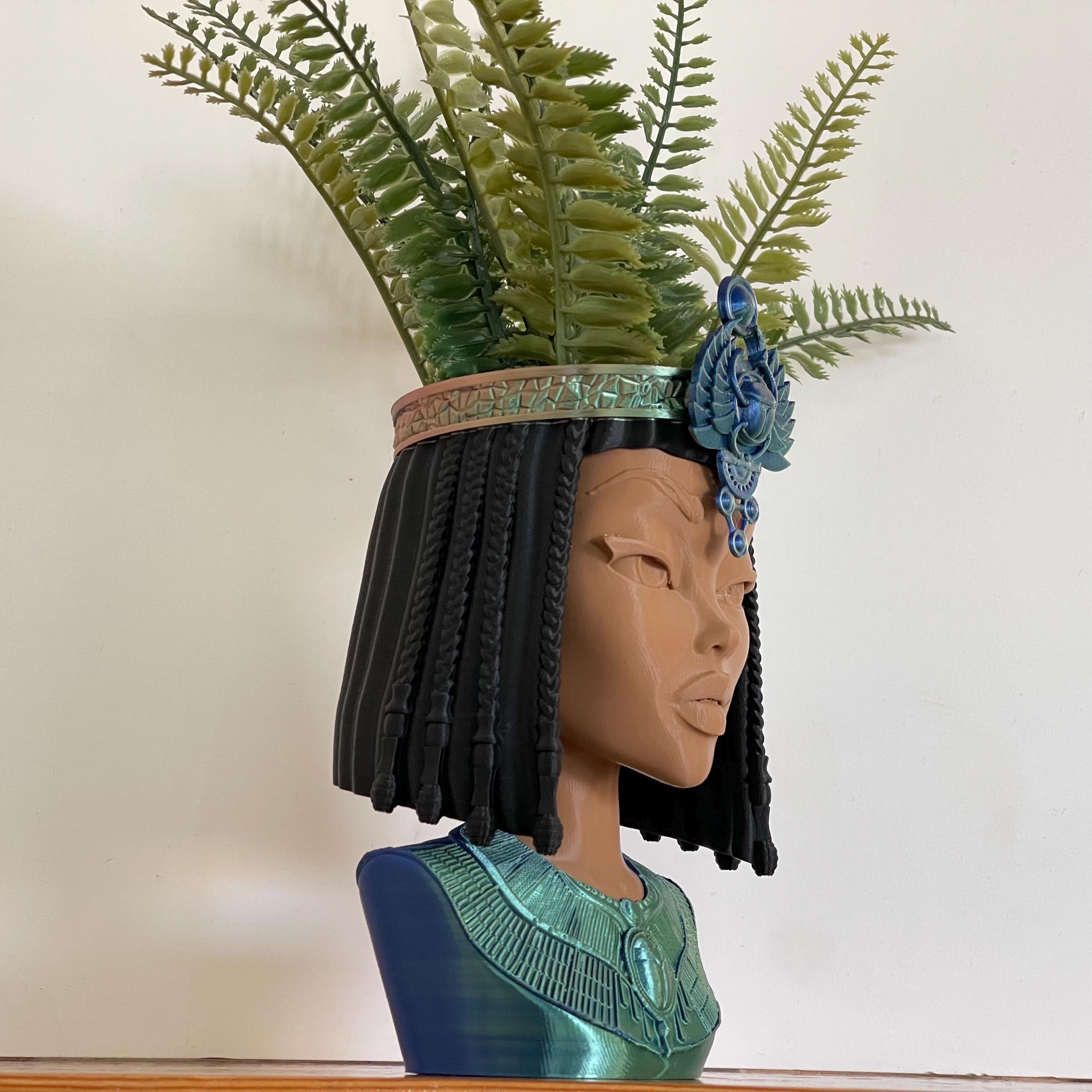 Cleopatra Bust Planter -for 3d Print -stl File - Etsy