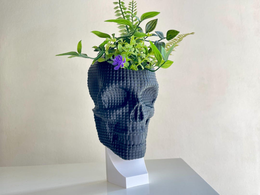 Skull Wall -desktop Planter-stl File - Etsy