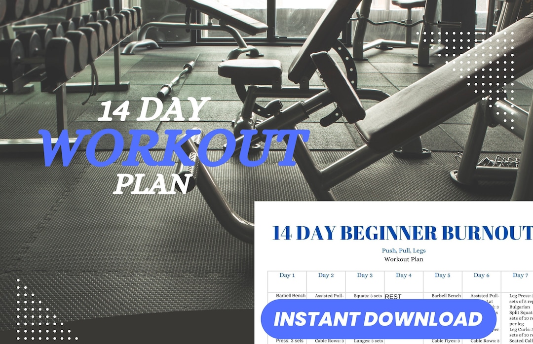 14 Day Beginner Workout Plan - Etsy
