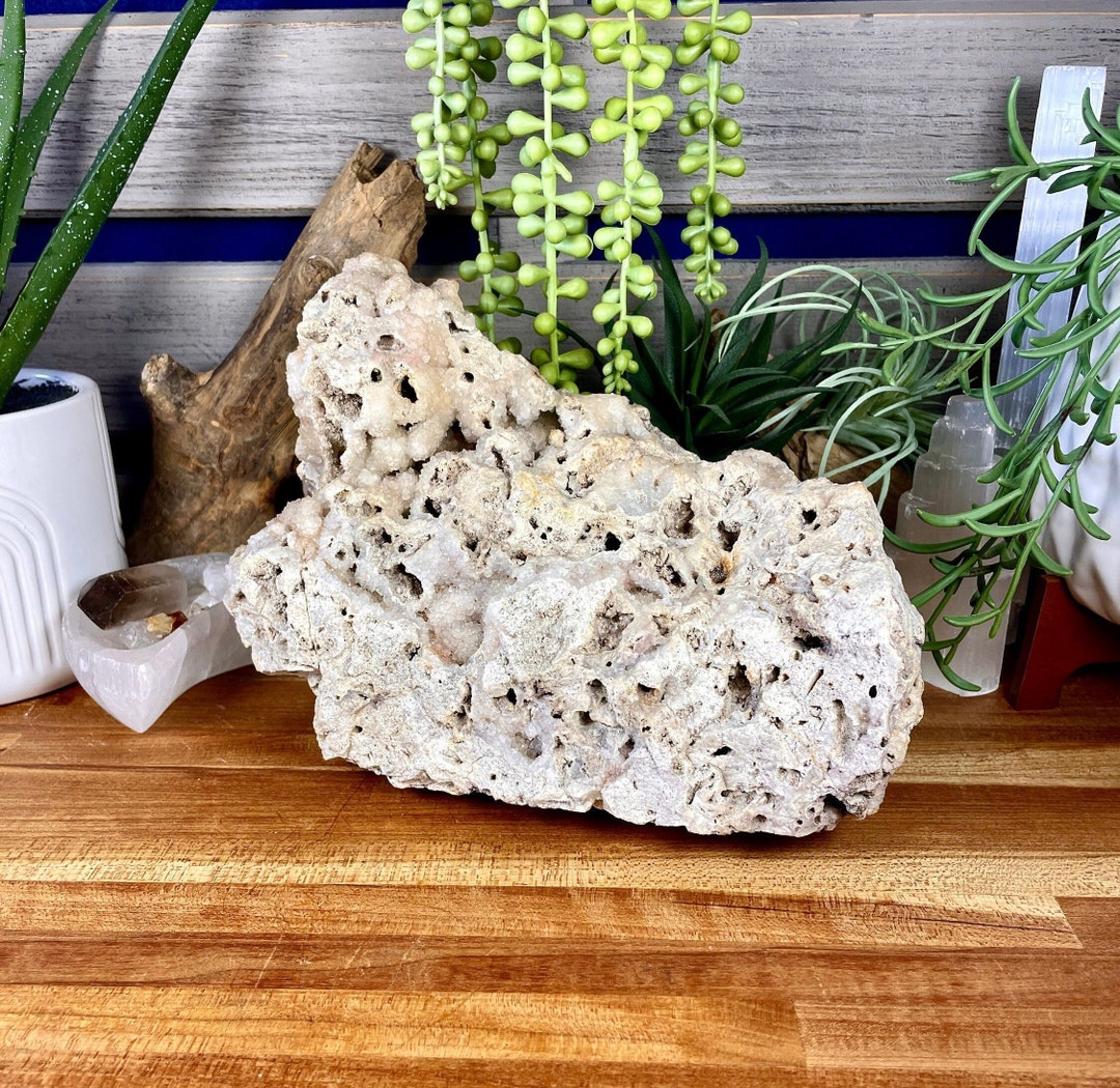 Giant Fossilized Coral Specimen With Quartz Druzy and Crystals - Etsy