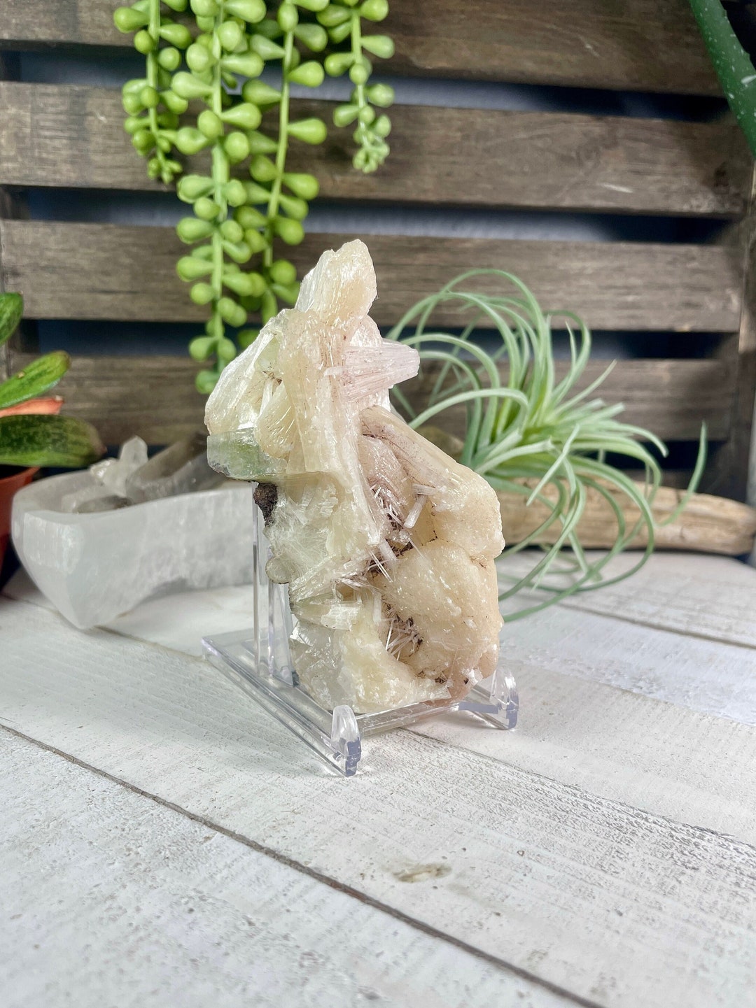 Zeolite Specimen With Scolecite, Apophyllite, and Rare Green ...