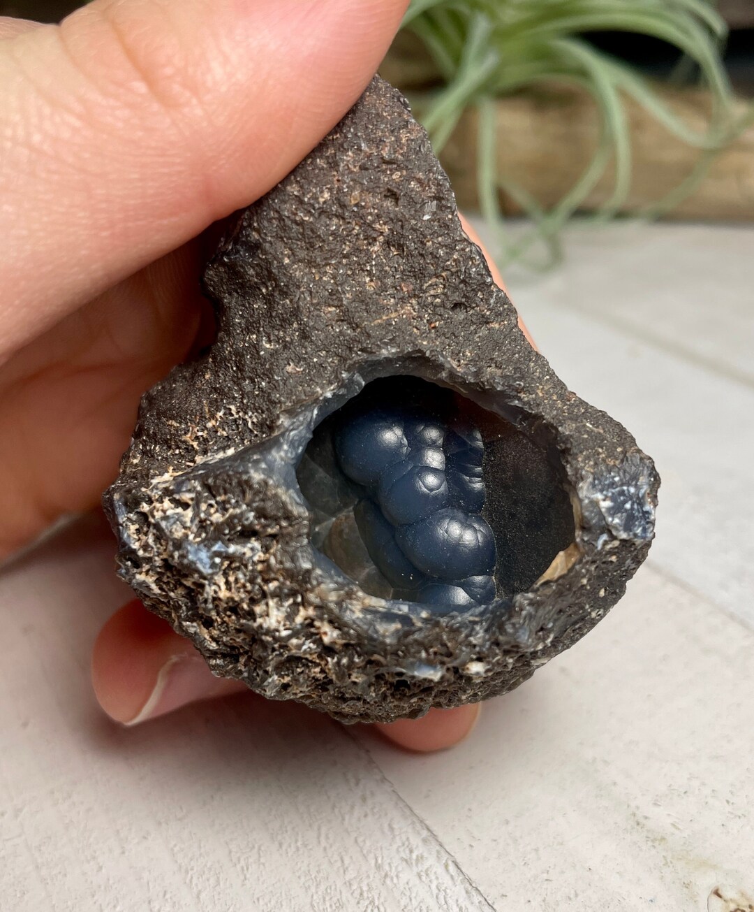 Dark Blue Botryoidal Chalcedony Geode - Etsy