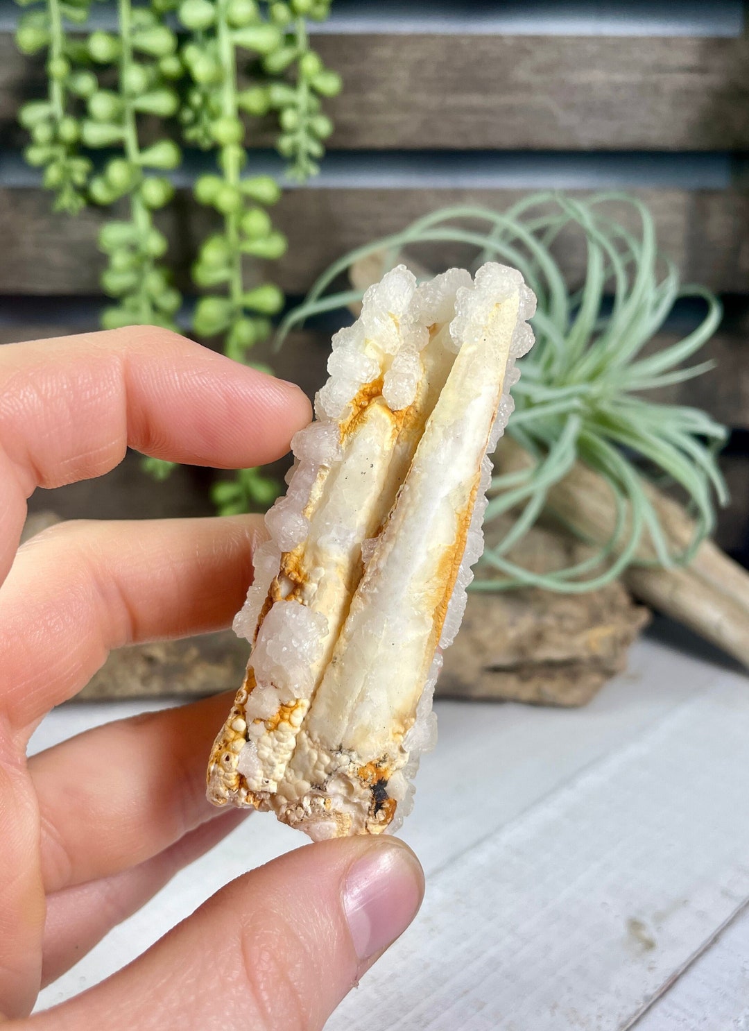 Incredible Stalactite Formation With White Calcite Crystals - Etsy